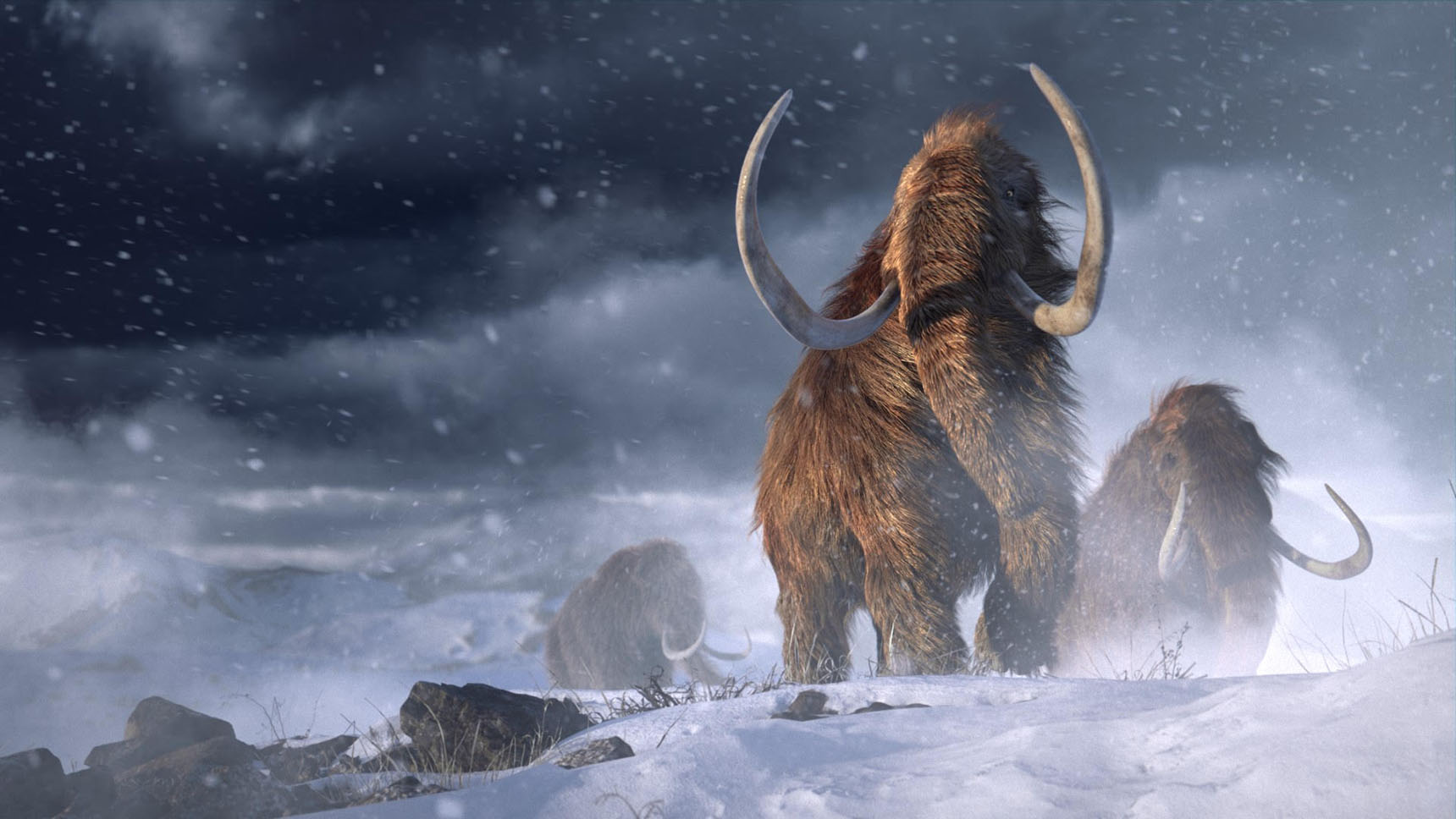 Drill rigs for challenging conditions | Geomachine